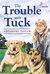 The Trouble with Tuck by Theodore Taylor — Reviews, Discussion ...