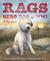Rags Hero Dog of WWI: A True Story by Margot Theis Raven — Reviews ...