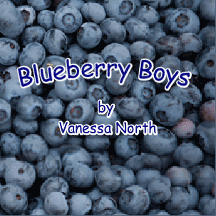 Blueberry Boys by Vanessa North — Reviews, Discussion, Bookclubs, Lists