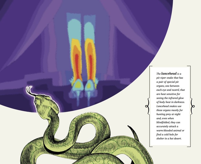 The Queen's Shadow: A Story About How Animals See by Cybèle Young ...